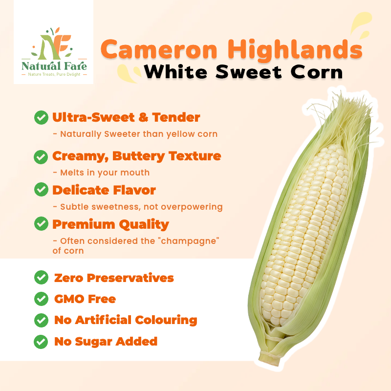 NF Cameron White Sweet Corn 1pcs | Natural Fare Sdn Bhd | Fresh Cameron ...